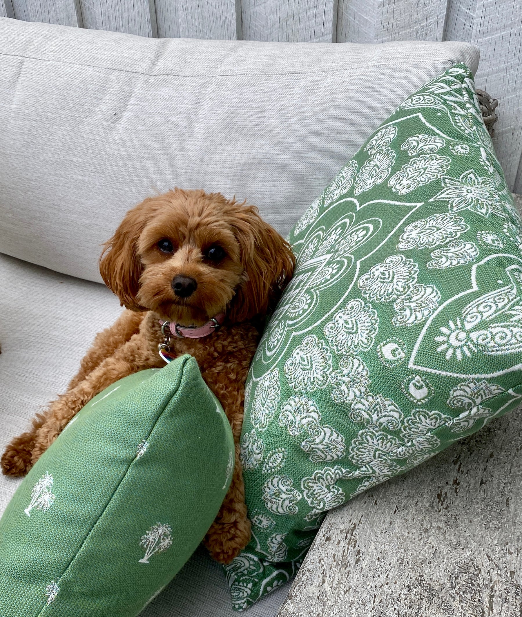 3 Beaches Hedges Henna Paisley – Great Outdoor Cushions Australia
